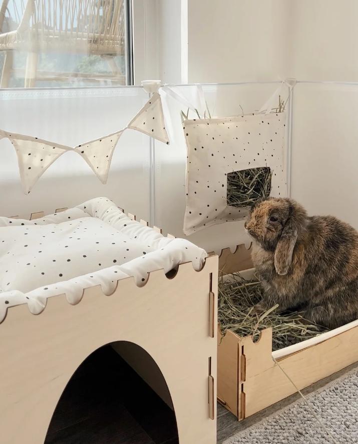 Set Up Essentials – Cosy's Castles