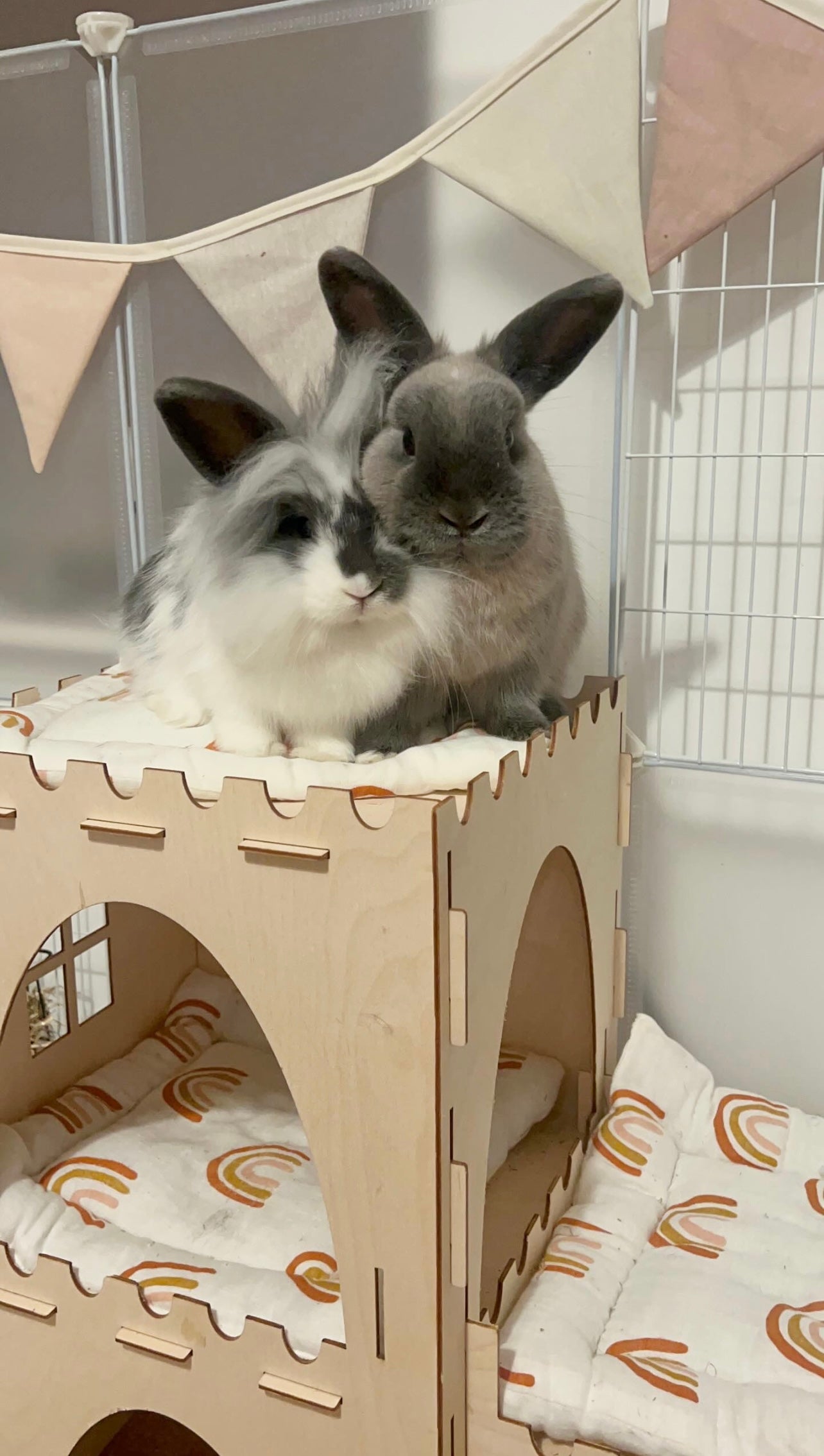 Double Storey Castle – Cosy's Castles