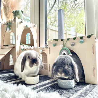 Double Storey Castle, Castle, Tunnel, Hay Rack & Ramp – Cosy's Castles