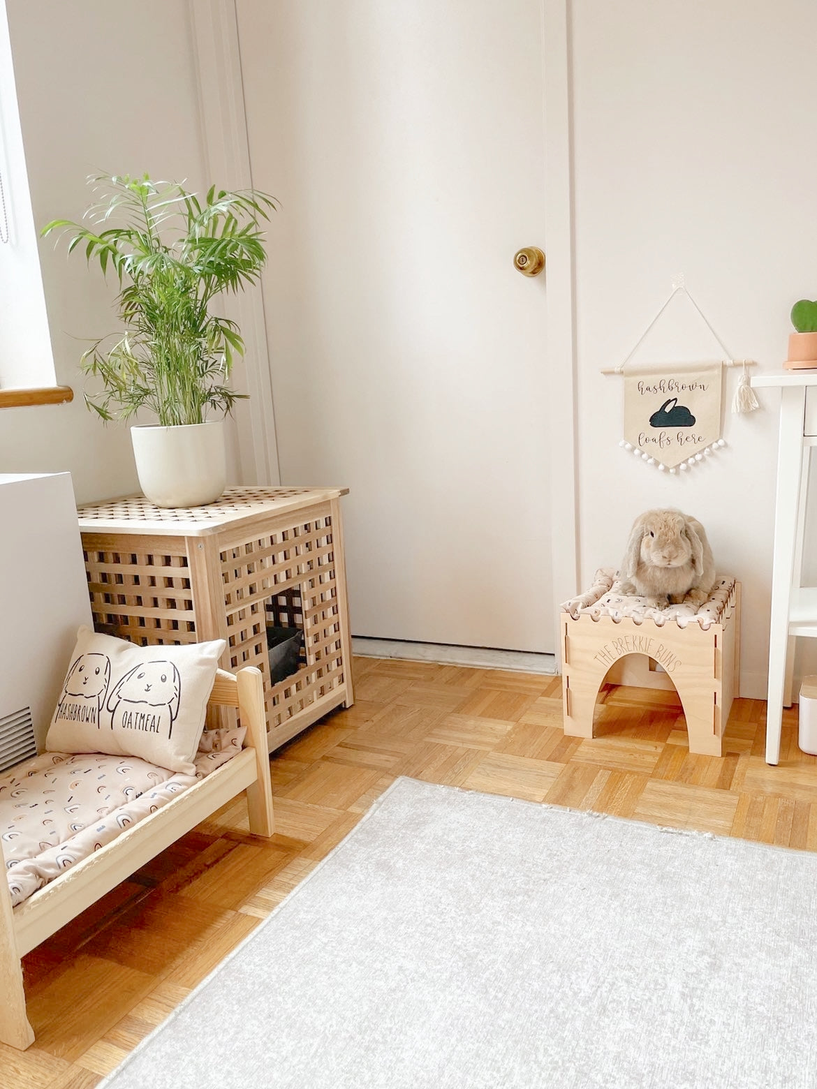 Cosy's Castles – Cosy's Castles