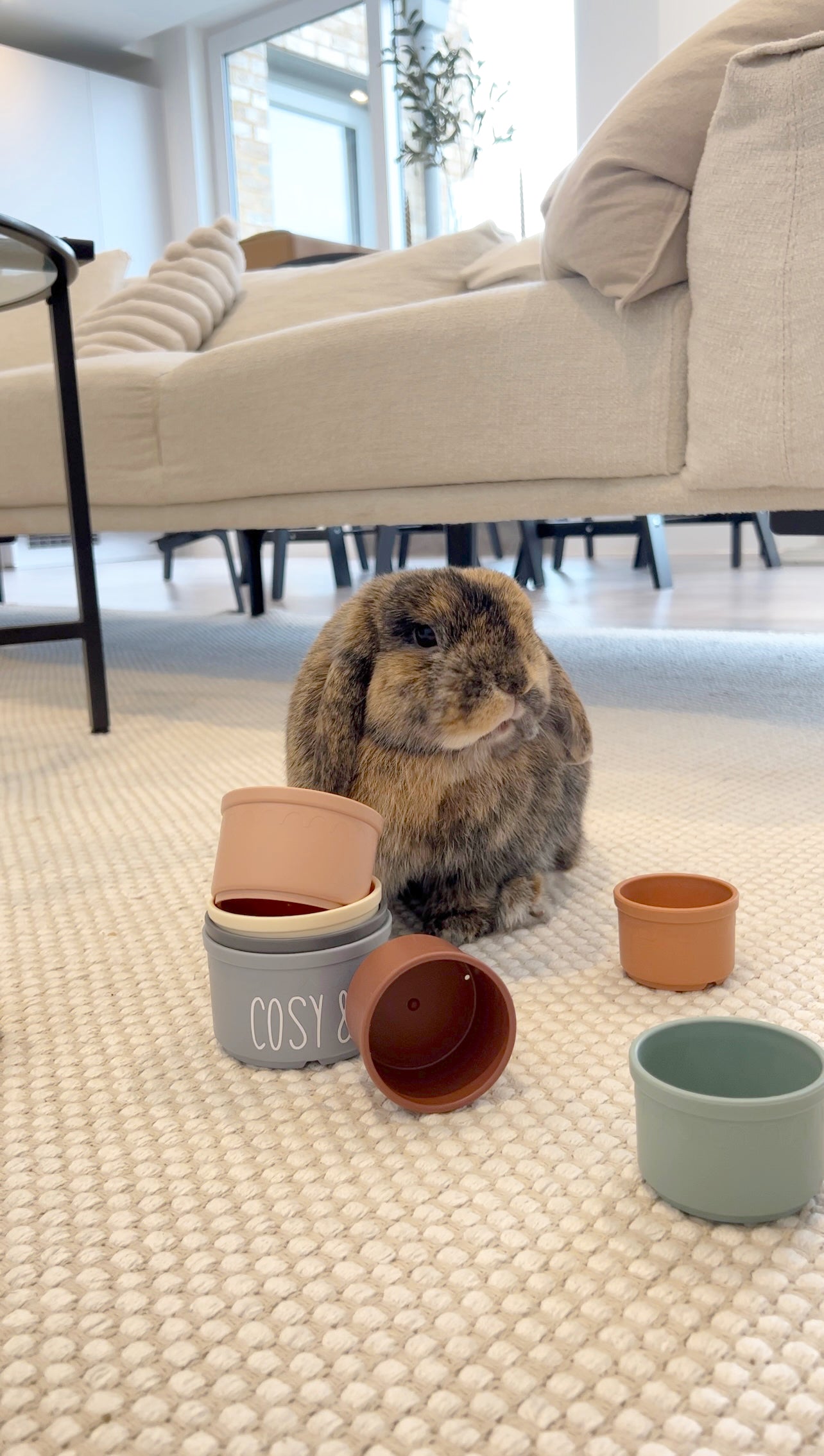 Stacking Cups – Cosy's Castles